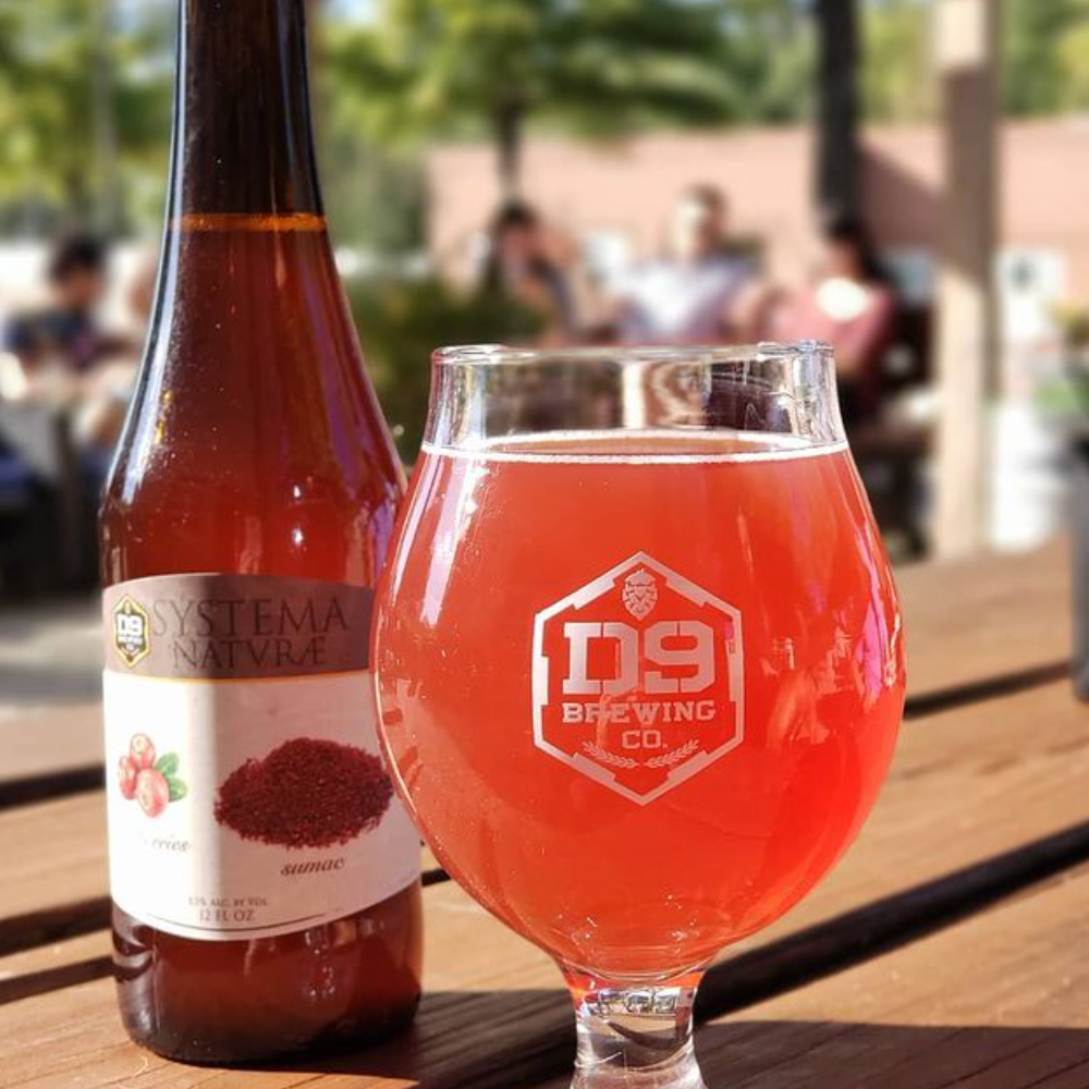 D9 Brewing – Pickleball Insider