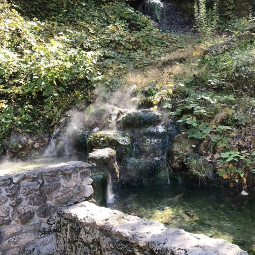 The Grand Promenade Walk | Pickleball Insider